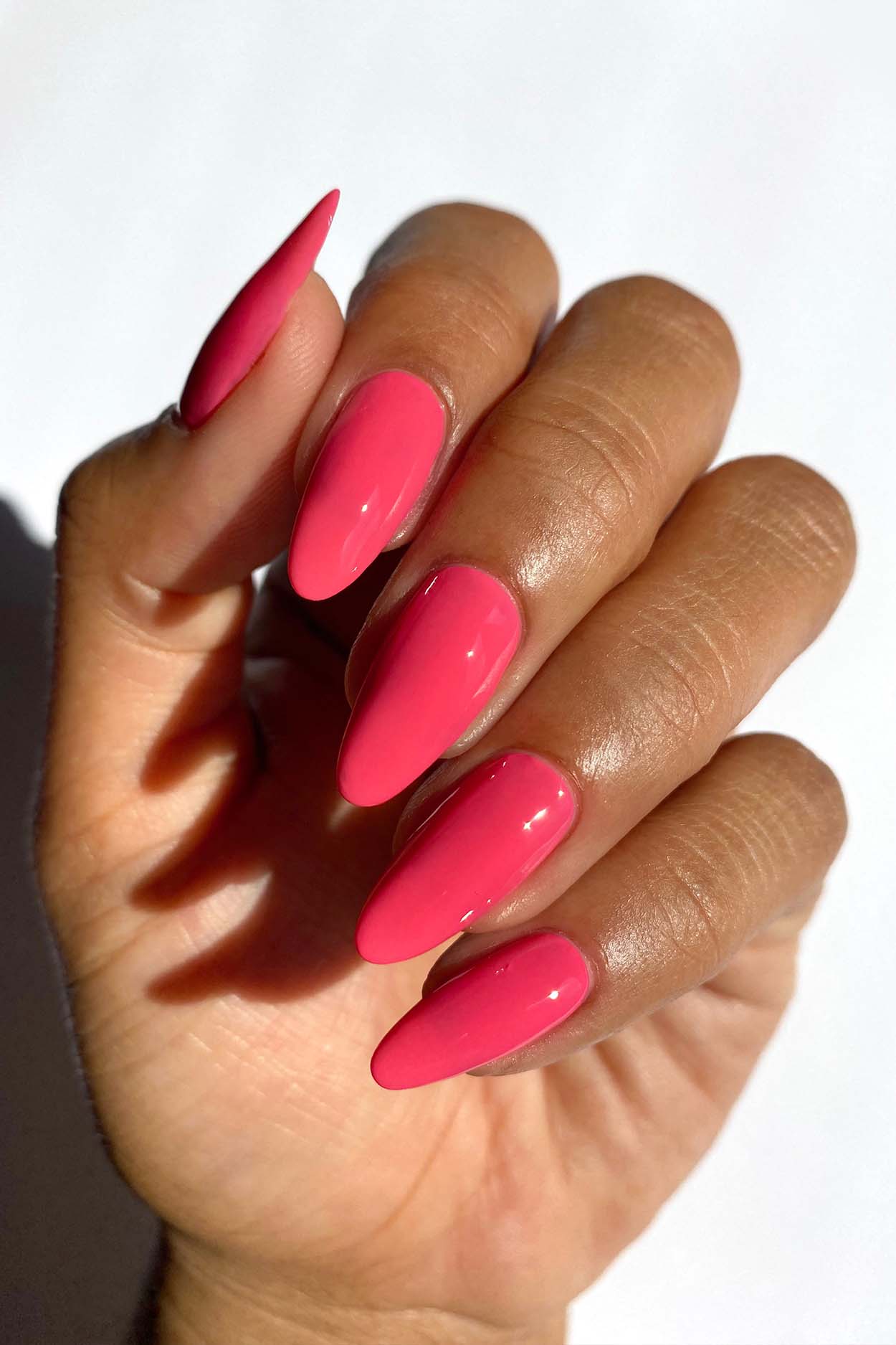 BAM – Cirque Colors