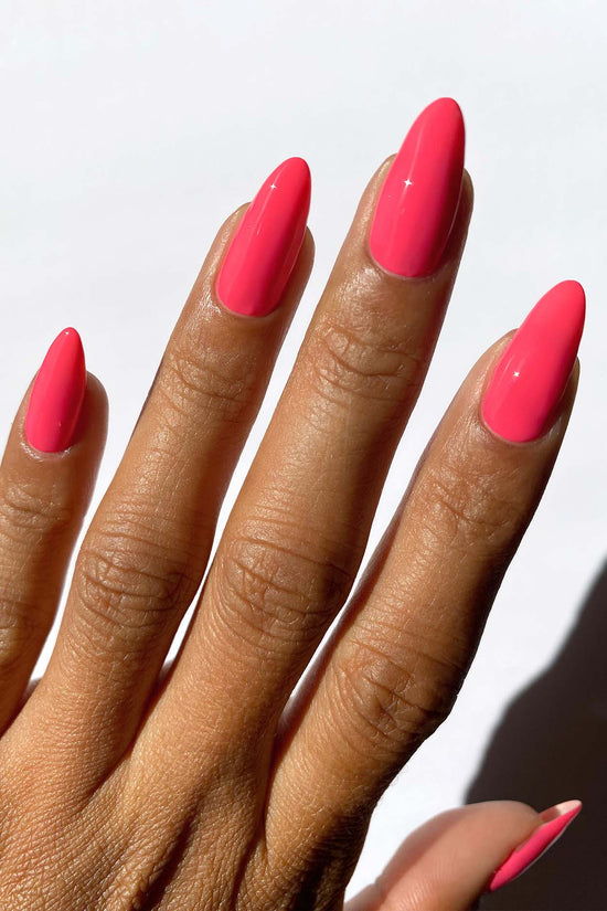 BAM – Cirque Colors