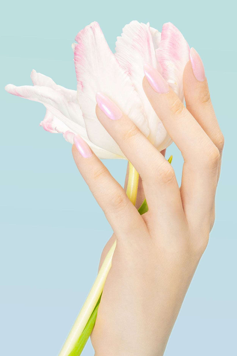 Ghost Rose – Cirque Colors