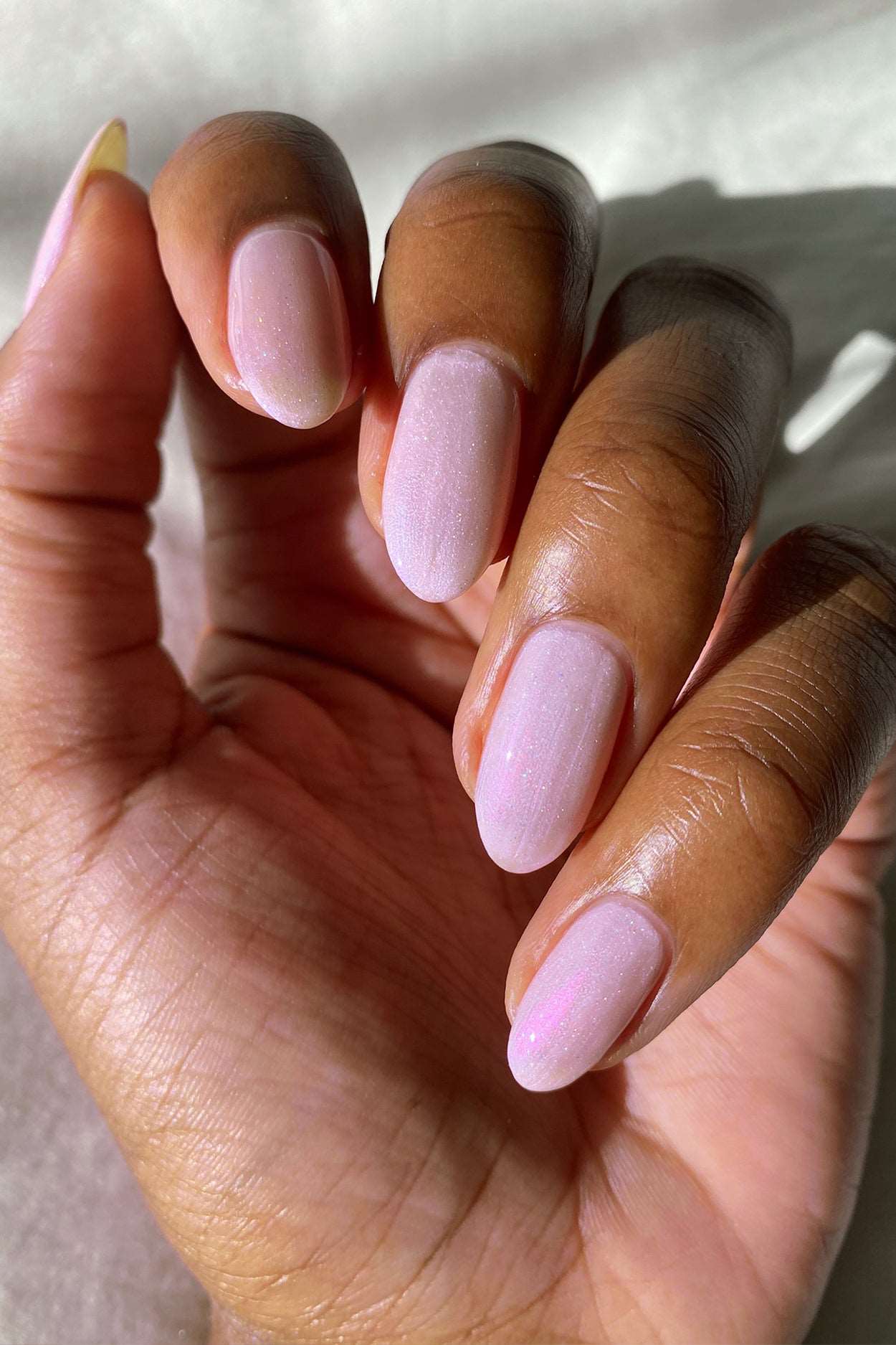 Ghost Rose – Cirque Colors