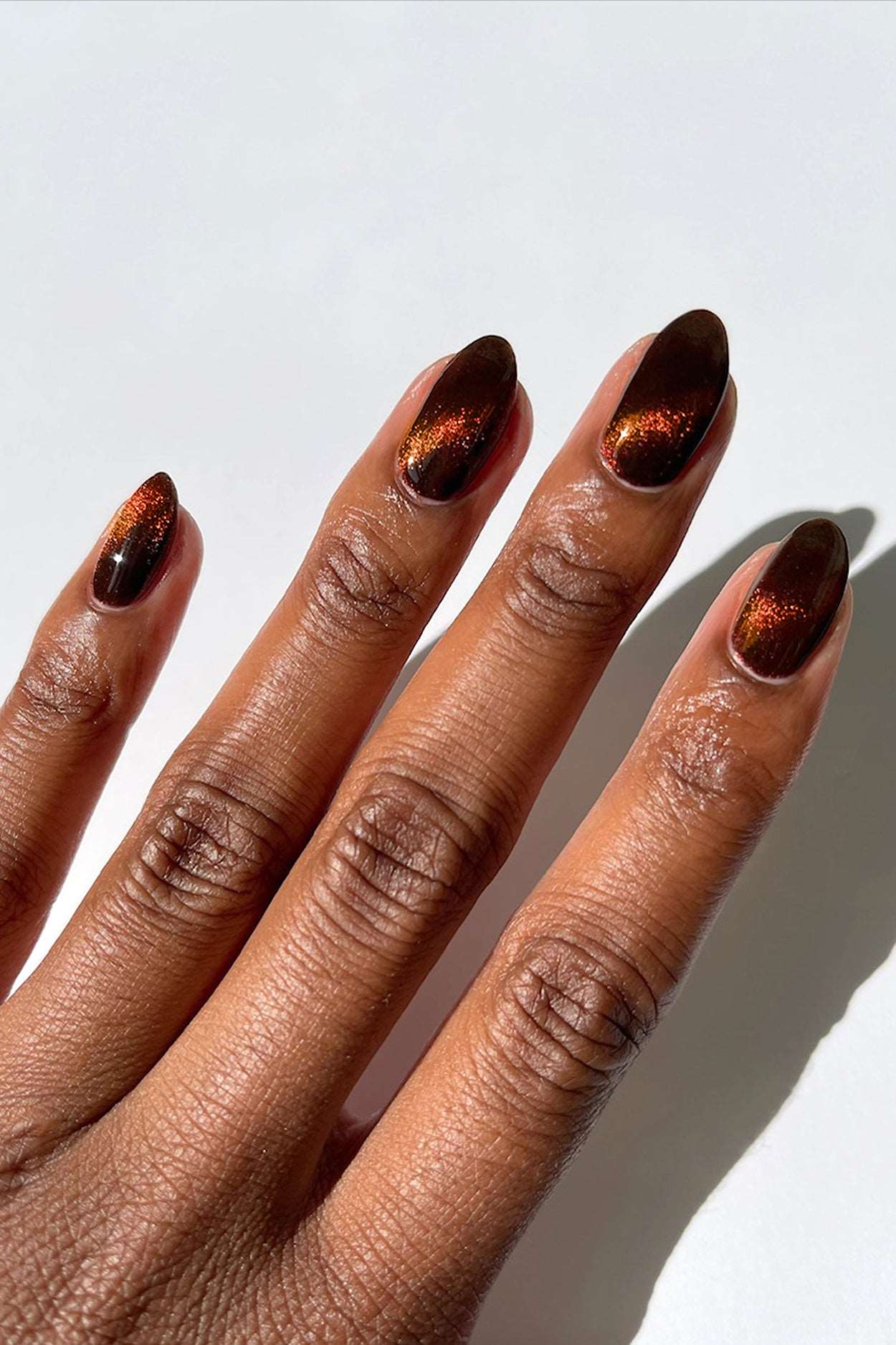 Eye of the Beholder – Cirque Colors