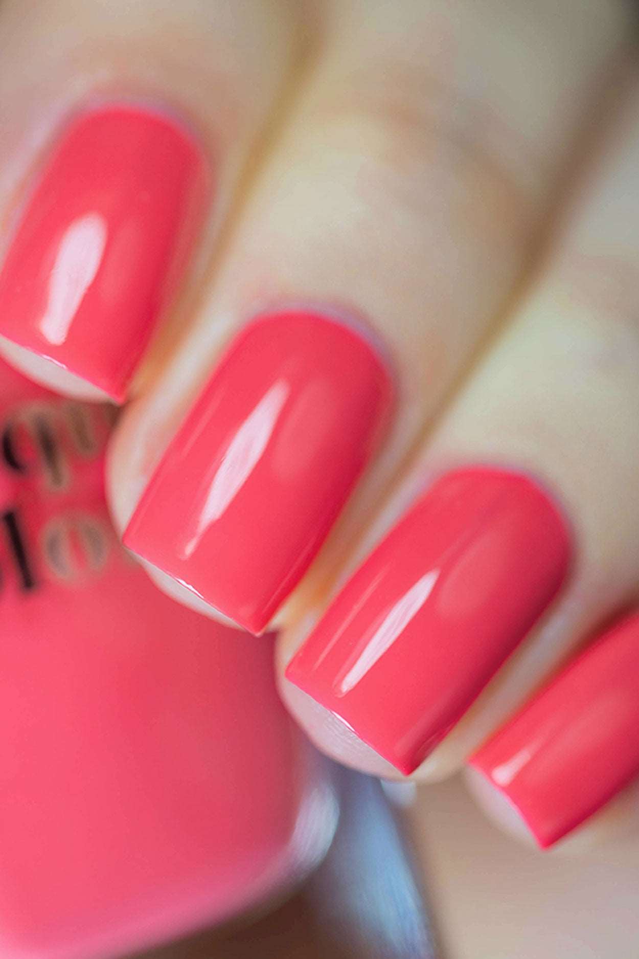 BAM – Cirque Colors