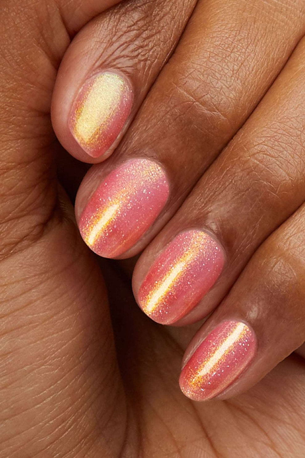 Fandango – Cirque Colors