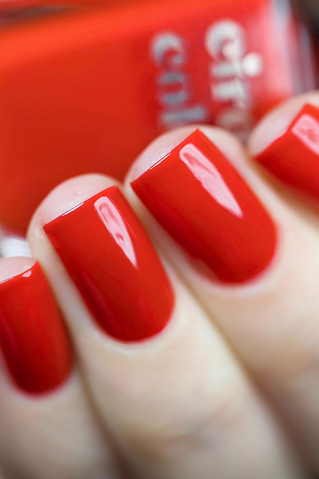 Toadstool – Cirque Colors