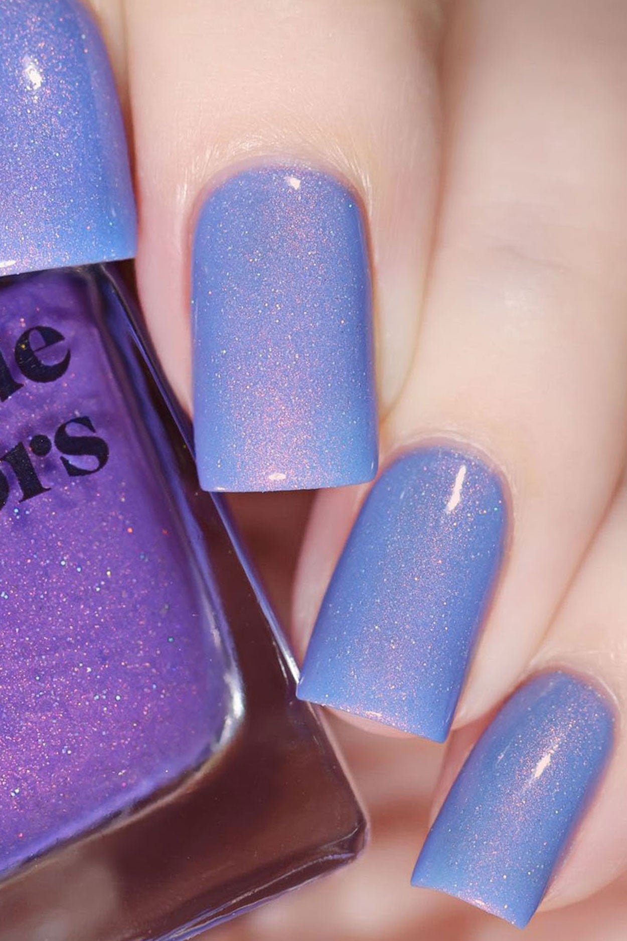 Terra – Cirque Colors