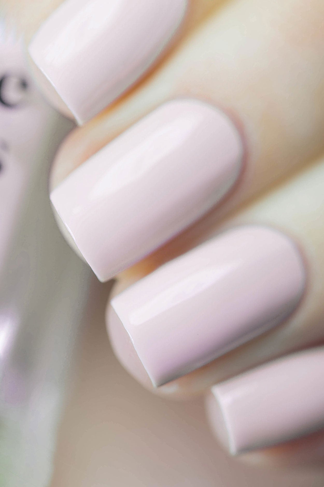 Whitney – Cirque Colors
