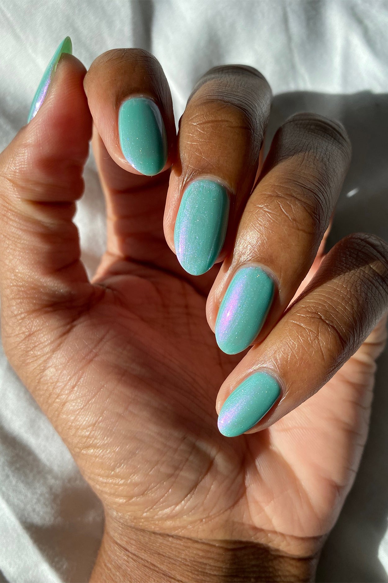 Paradiso – Cirque Colors