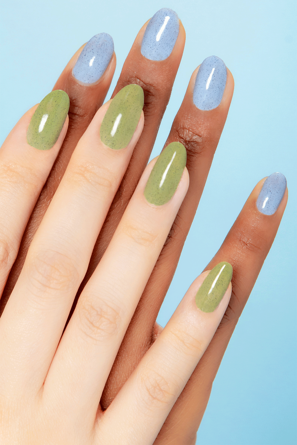 Robin – Cirque Colors