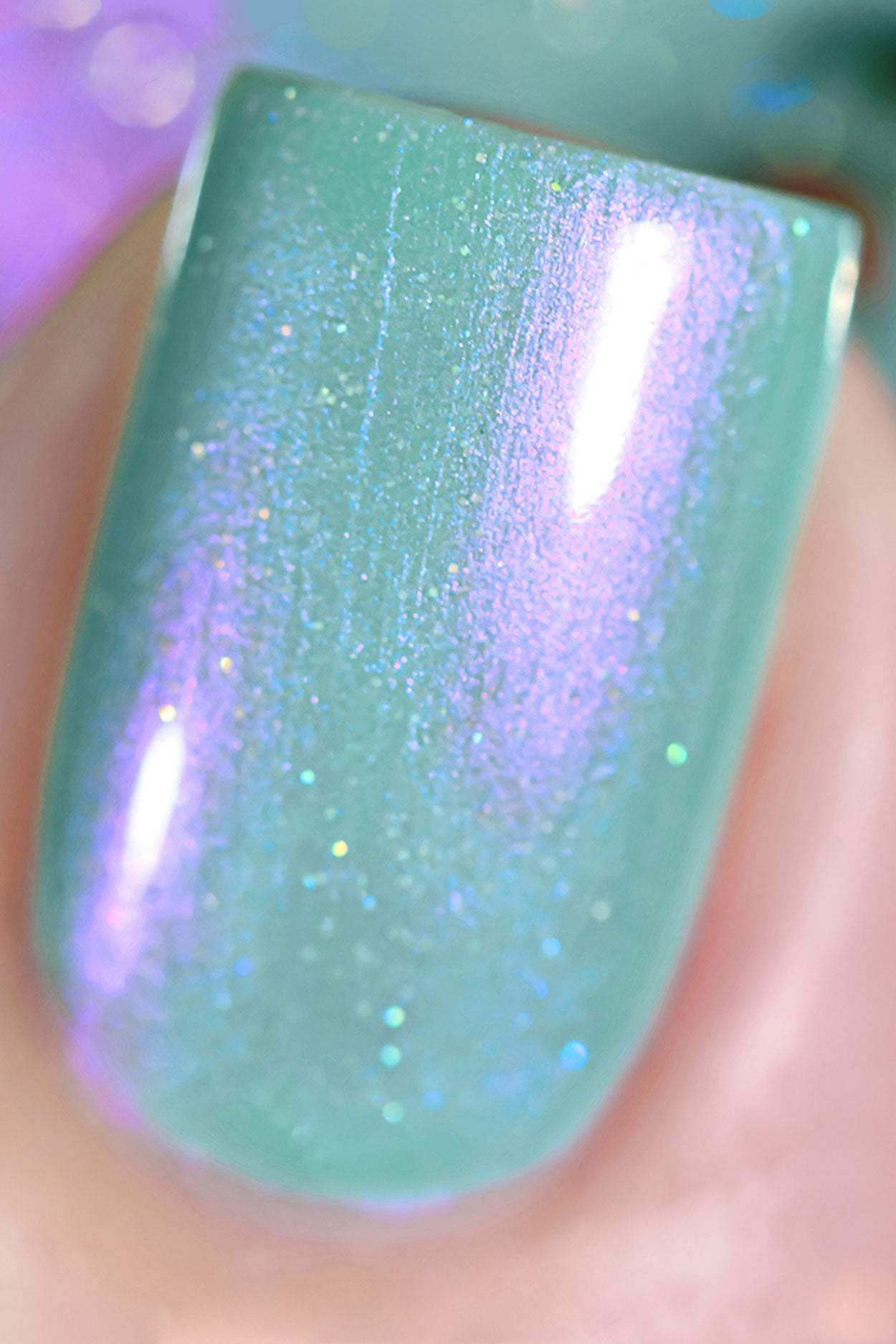 Paradiso – Cirque Colors
